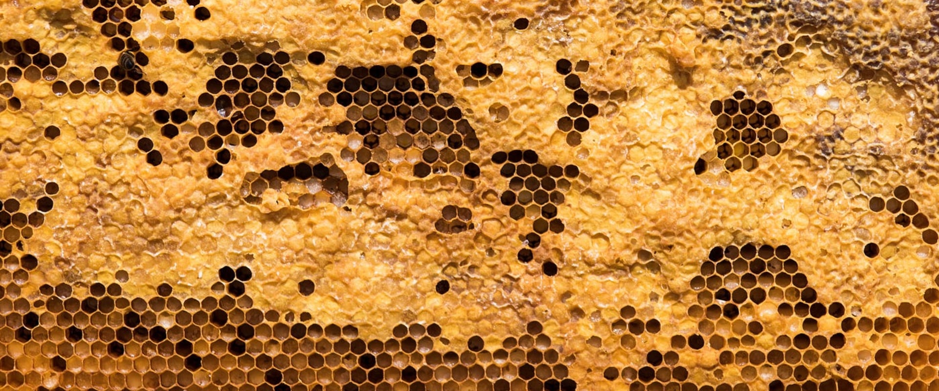 A Comprehensive Look at Collaborative Filtering in R Programming